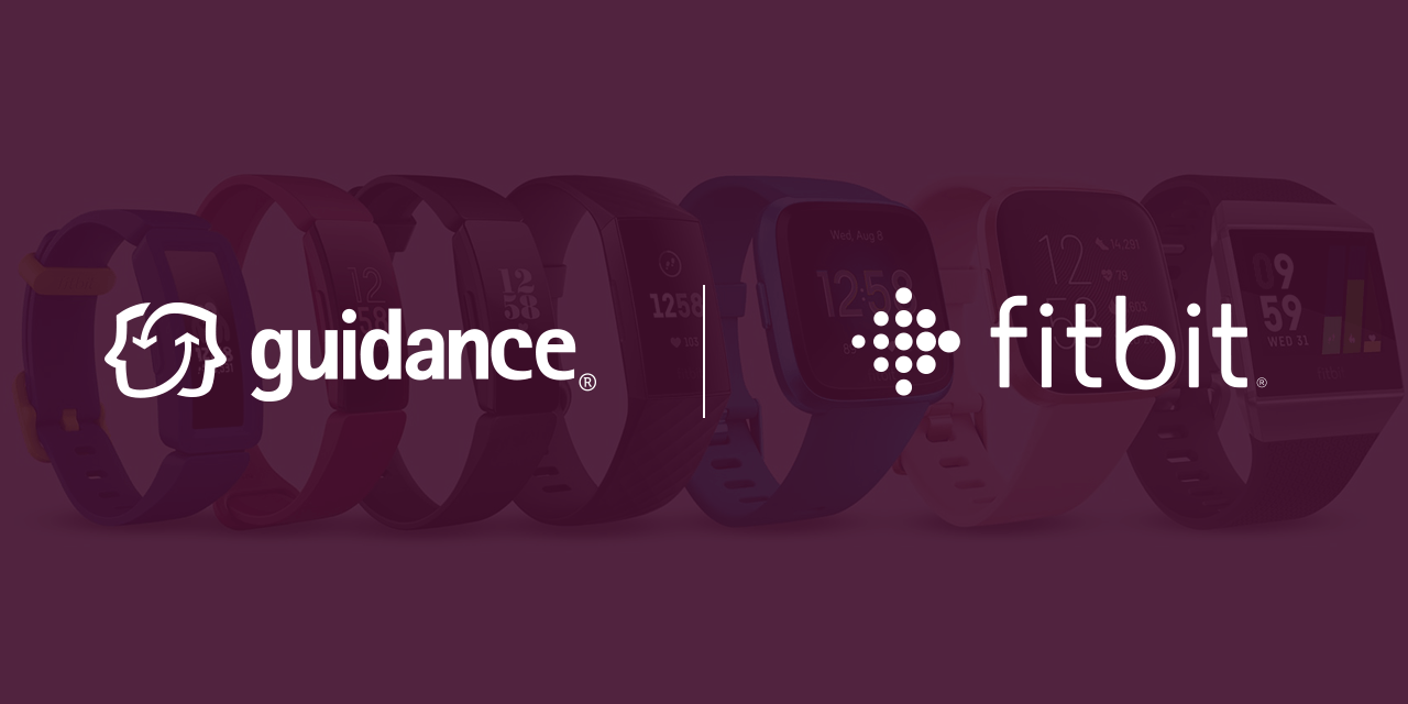 Fitbit Case Study | Guidance